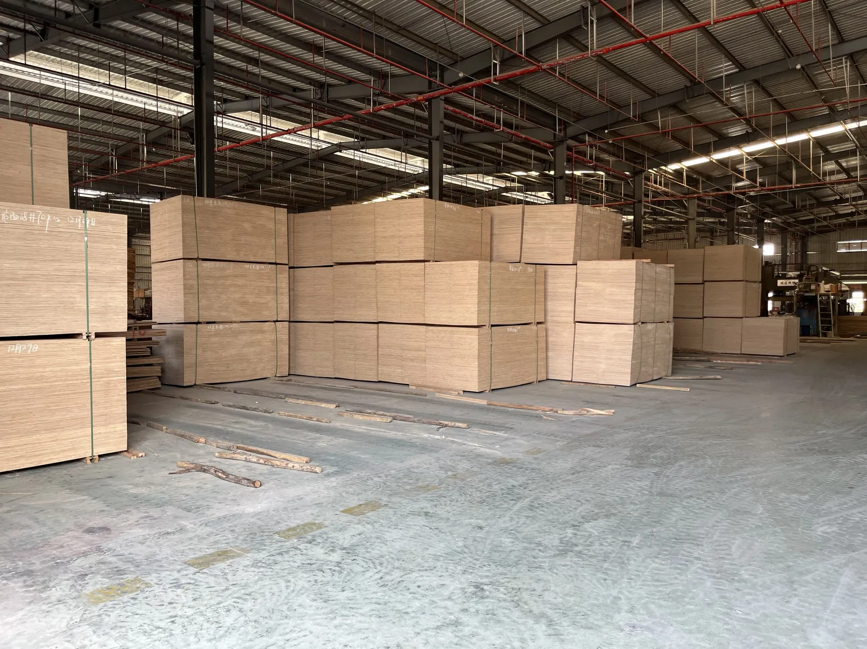 Plywood - Timber Valley